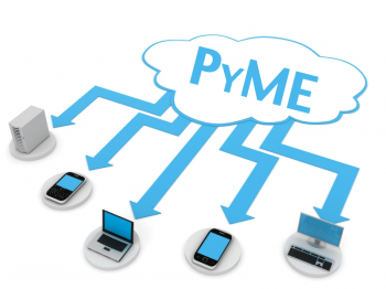pyme.png :: Organización Ejecutiva